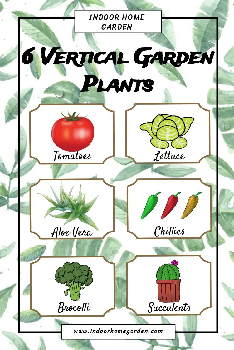 Vertical Farming At Home: Everything You Need To Know - Indoor Home Garden