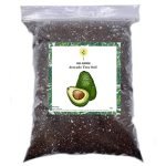 How to Select Soil for Avocado Tree- 5 Pro Tips