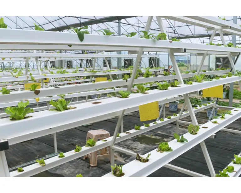 How to build your own Aeroponic Tower: A Guide - Indoor Home Garden