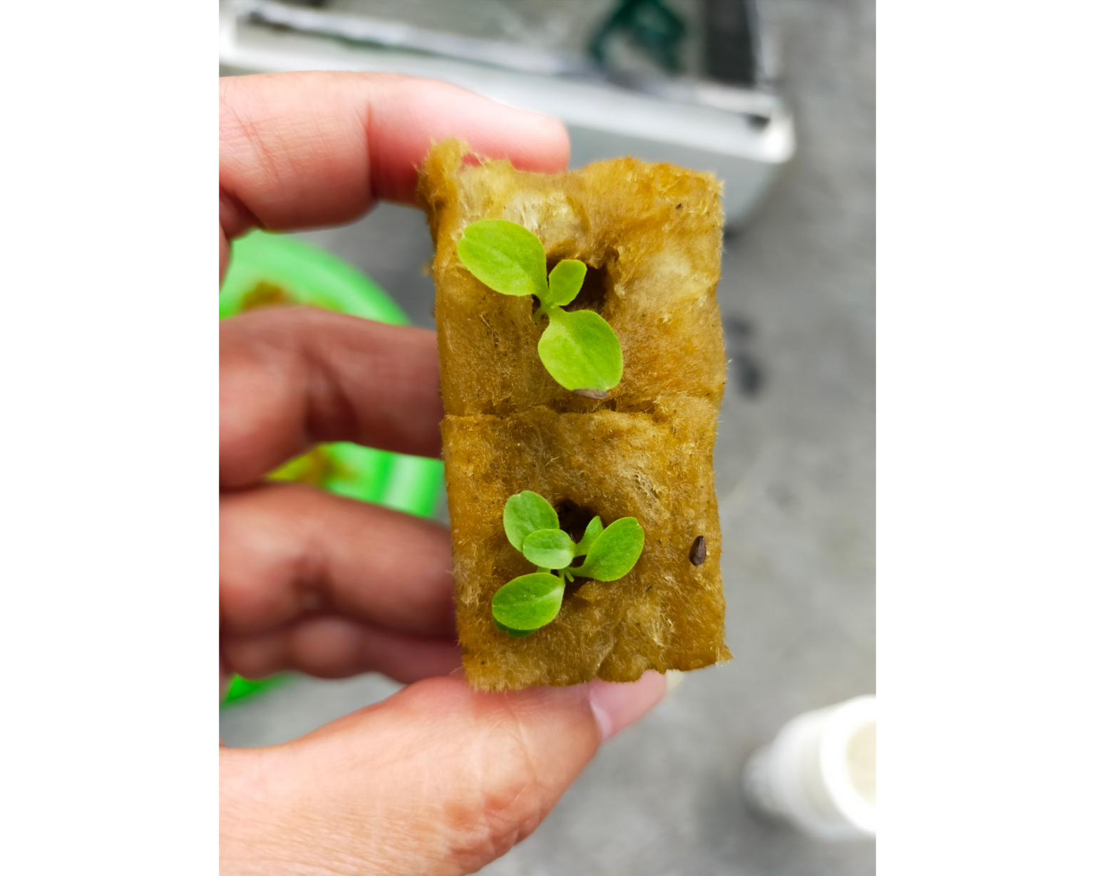 How to build your own Aeroponic Tower: A Guide - Indoor Home Garden