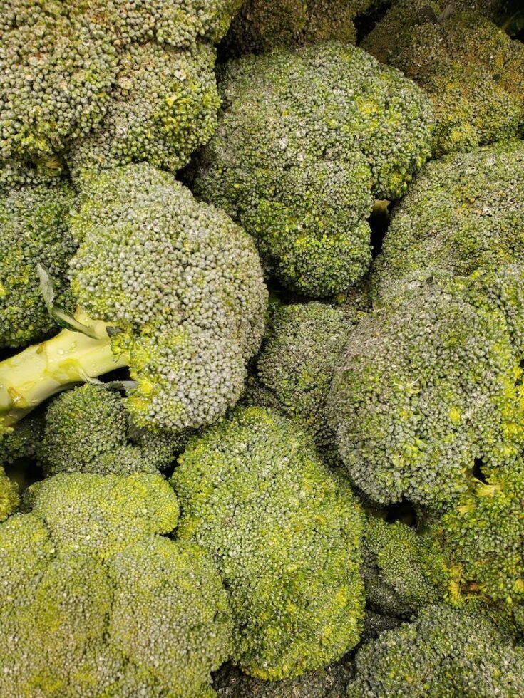 Growing Fresh Produce Indoors: A Guide to the Types of Vegetables You ...