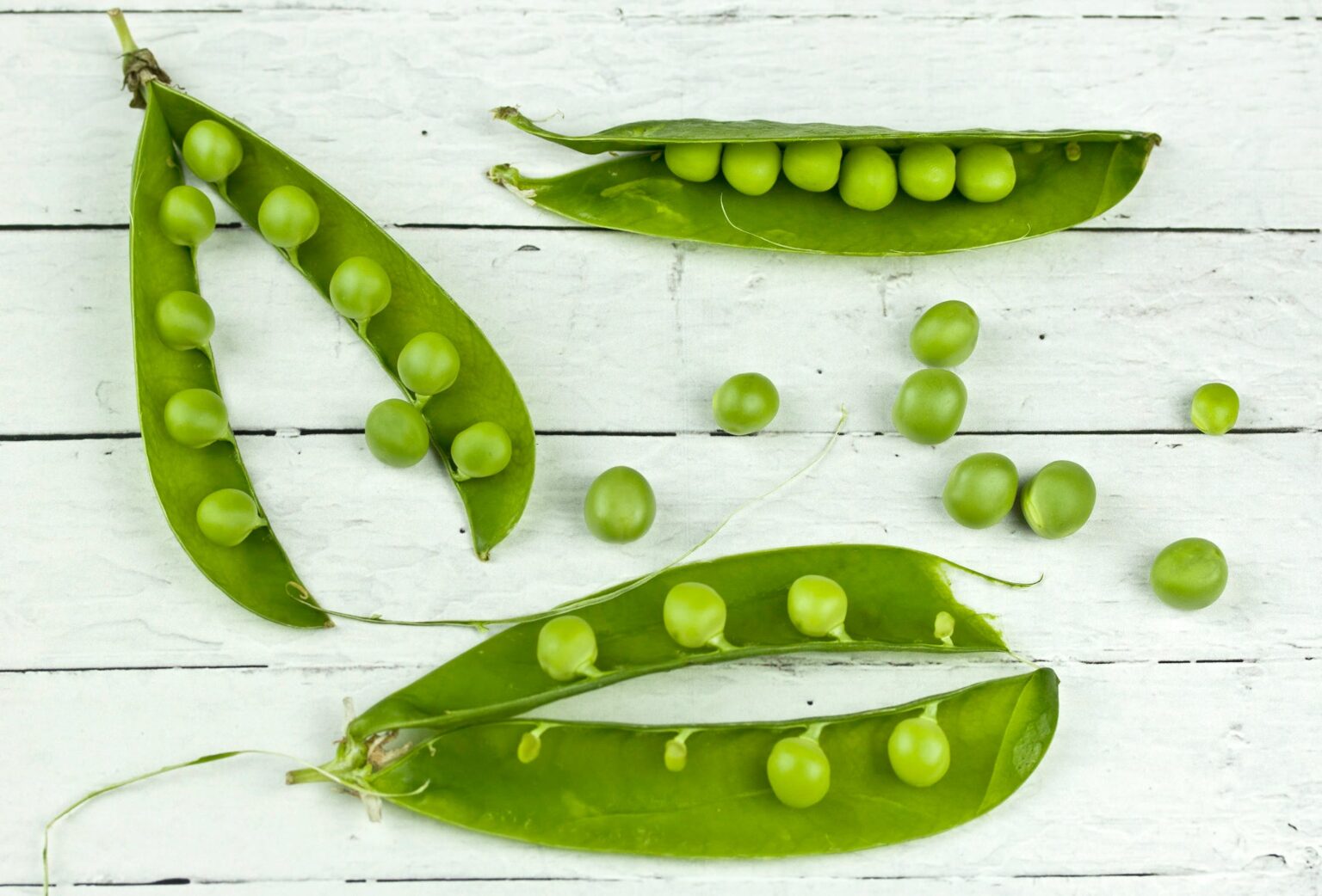 Growing Peas Indoors: Tips and Tricks for a Healthy and Productive ...