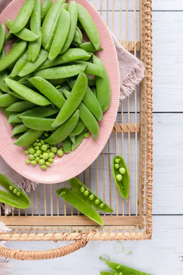 Growing Peas Indoors: Tips and Tricks for a Healthy and Productive ...