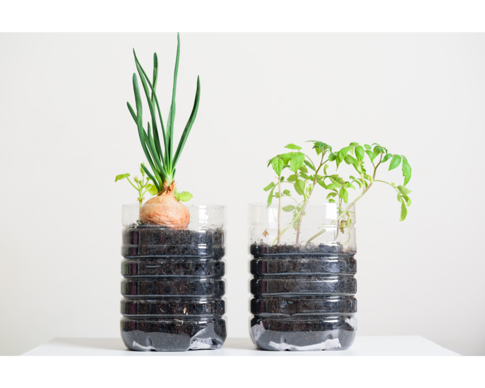 Exploring Various Types of Plant Boxes for Indoor Gardening - Indoor ...