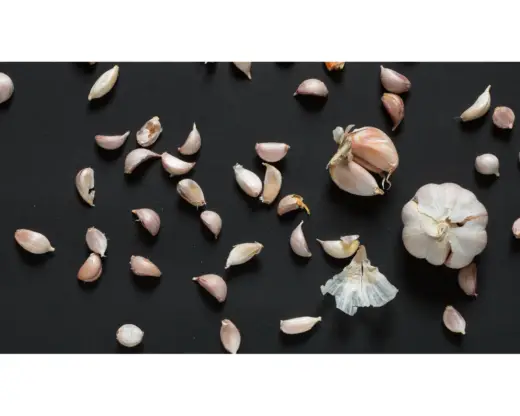 Growing Garlic Indoors: A Complete Guide - Indoor Home Garden